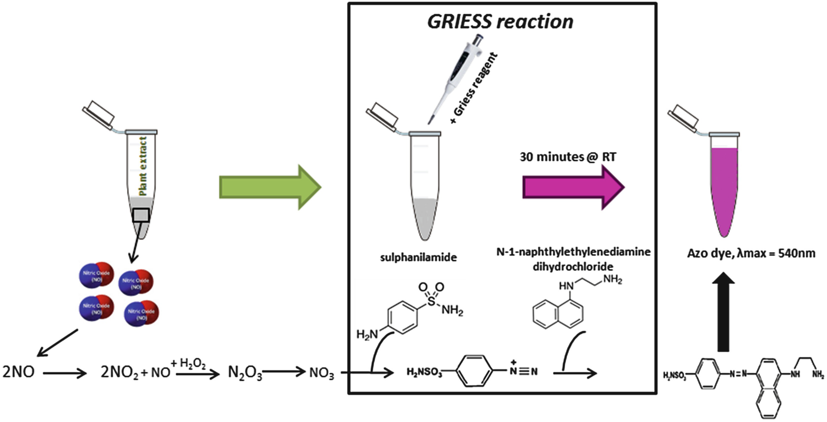 Spectrophotometric Quantification of Reactive Oxygen, Nitrogen and ...