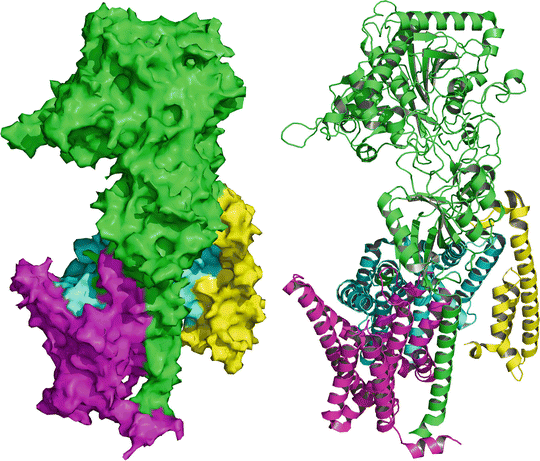 Computational Modeling of Gamma-Secretase Inhibitors as Anti-Alzheimer ...