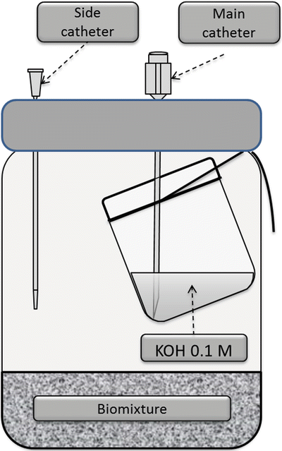 Alternative Approaches to Determine the Efficiency of Biomixtures Used ...