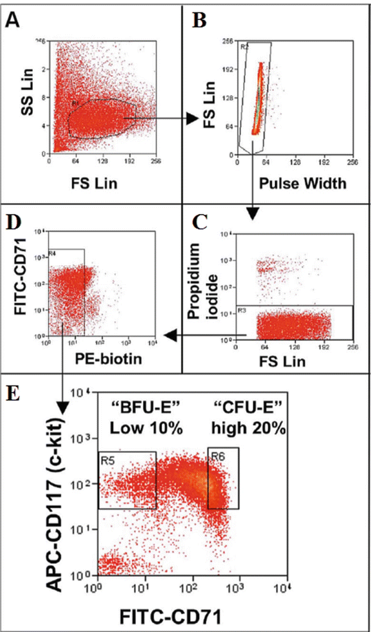 Flow Cytometry (FCM) Analysis and Fluorescence-Activated Cell Sorting ...