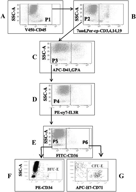 Flow Cytometry (FCM) Analysis and Fluorescence-Activated Cell Sorting ...