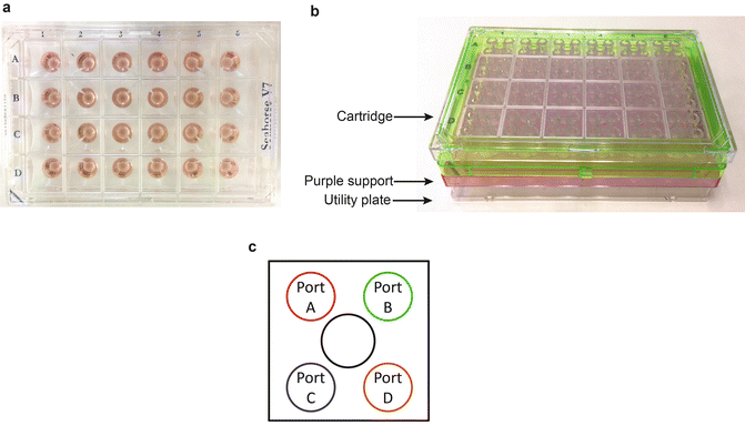 Study of AMPK-Regulated Metabolic Fluxes in Neurons Using the Seahorse ...