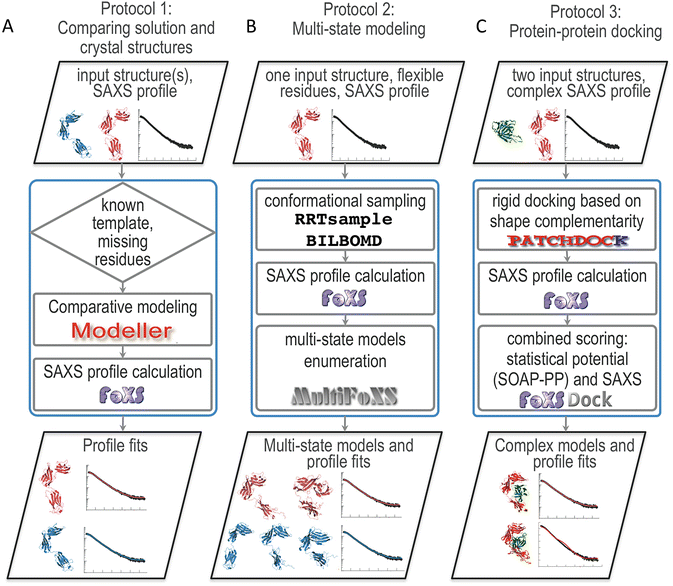 Modeling Structure and Dynamics of Protein Complexes with SAXS Profiles ...