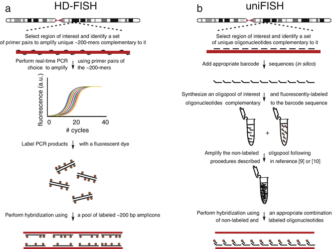 An Application-Directed, Versatile DNA FISH Platform for Research and ...