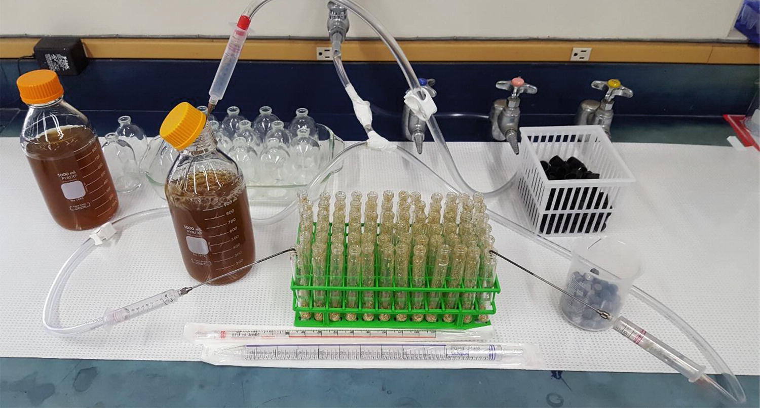 Methods for Genomic Characterization and Maintenance of Anaerobic Fungi ...