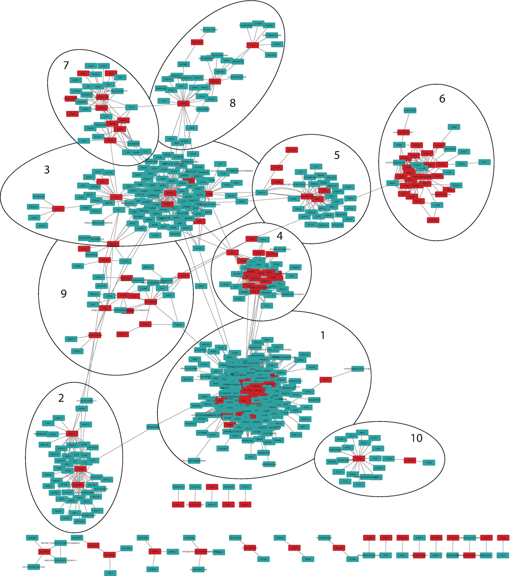 Network Analysis of Gene Expression | SpringerLink