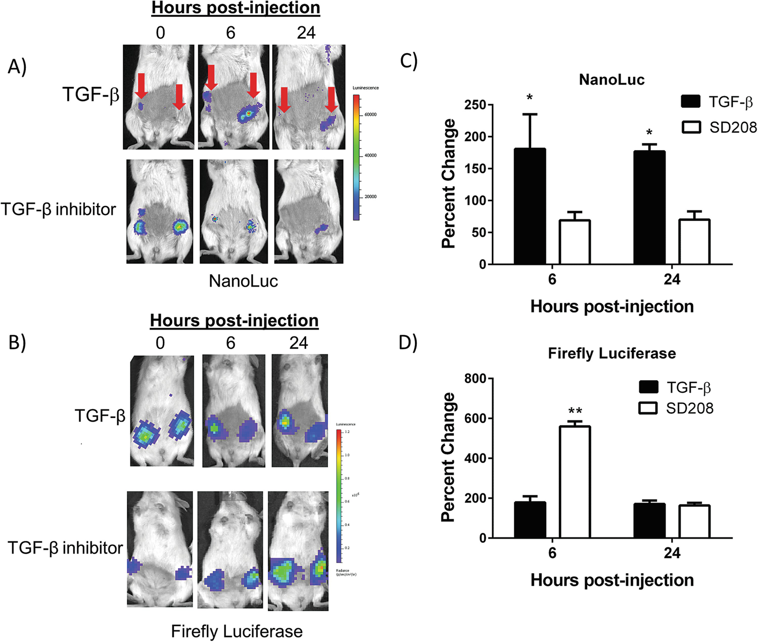 Dual Reporter Bioluminescence Imaging with NanoLuc and Firefly ...
