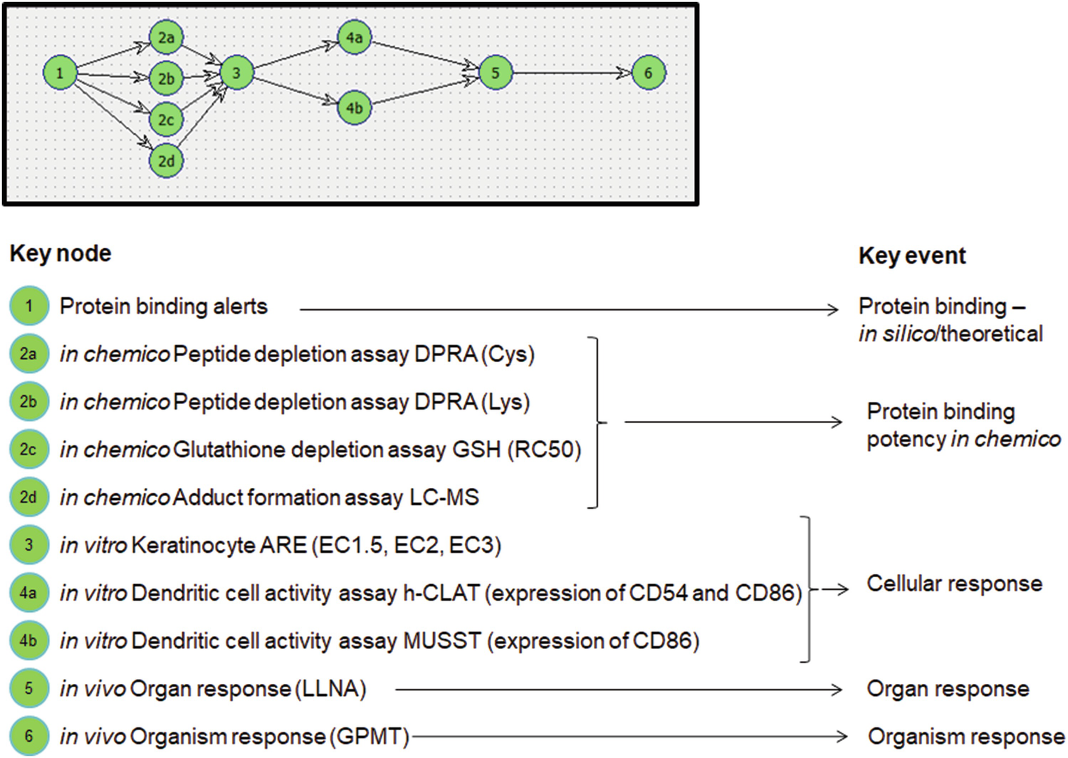 The OECD QSAR Toolbox Starts Its Second Decade | SpringerLink