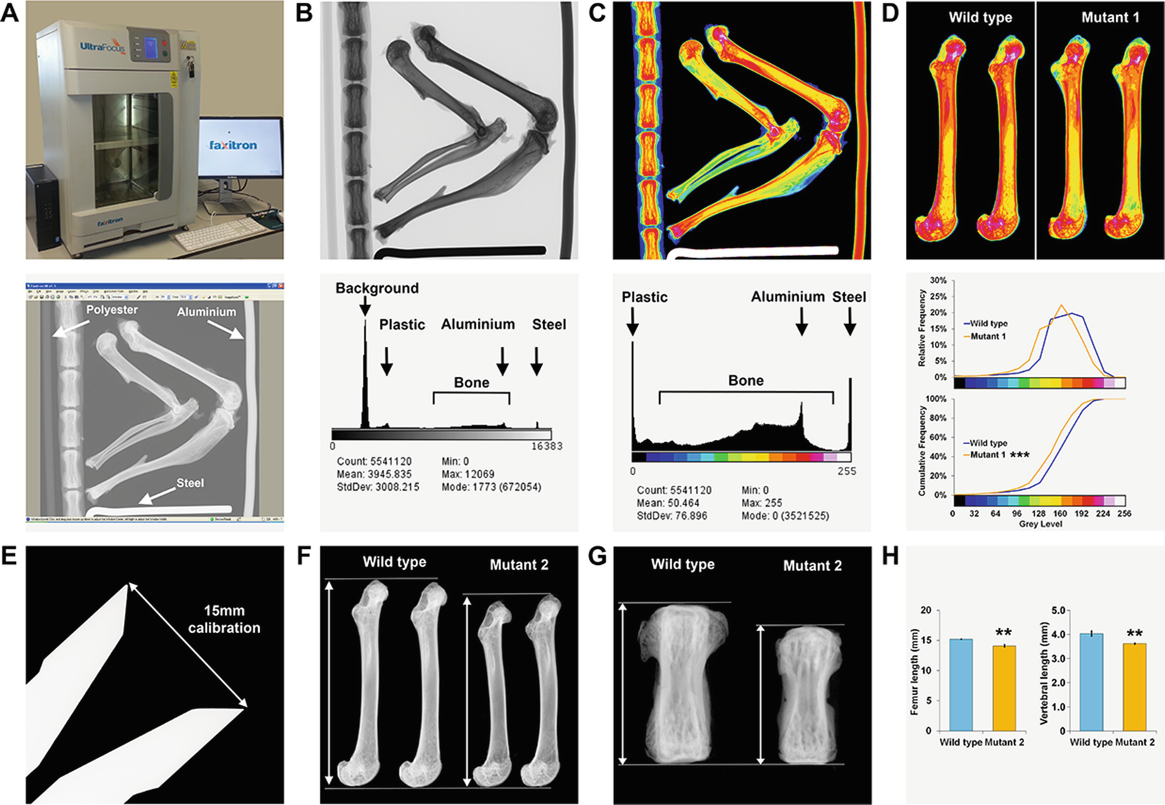 Analysis of Physiological Responses to Thyroid Hormones and Their ...