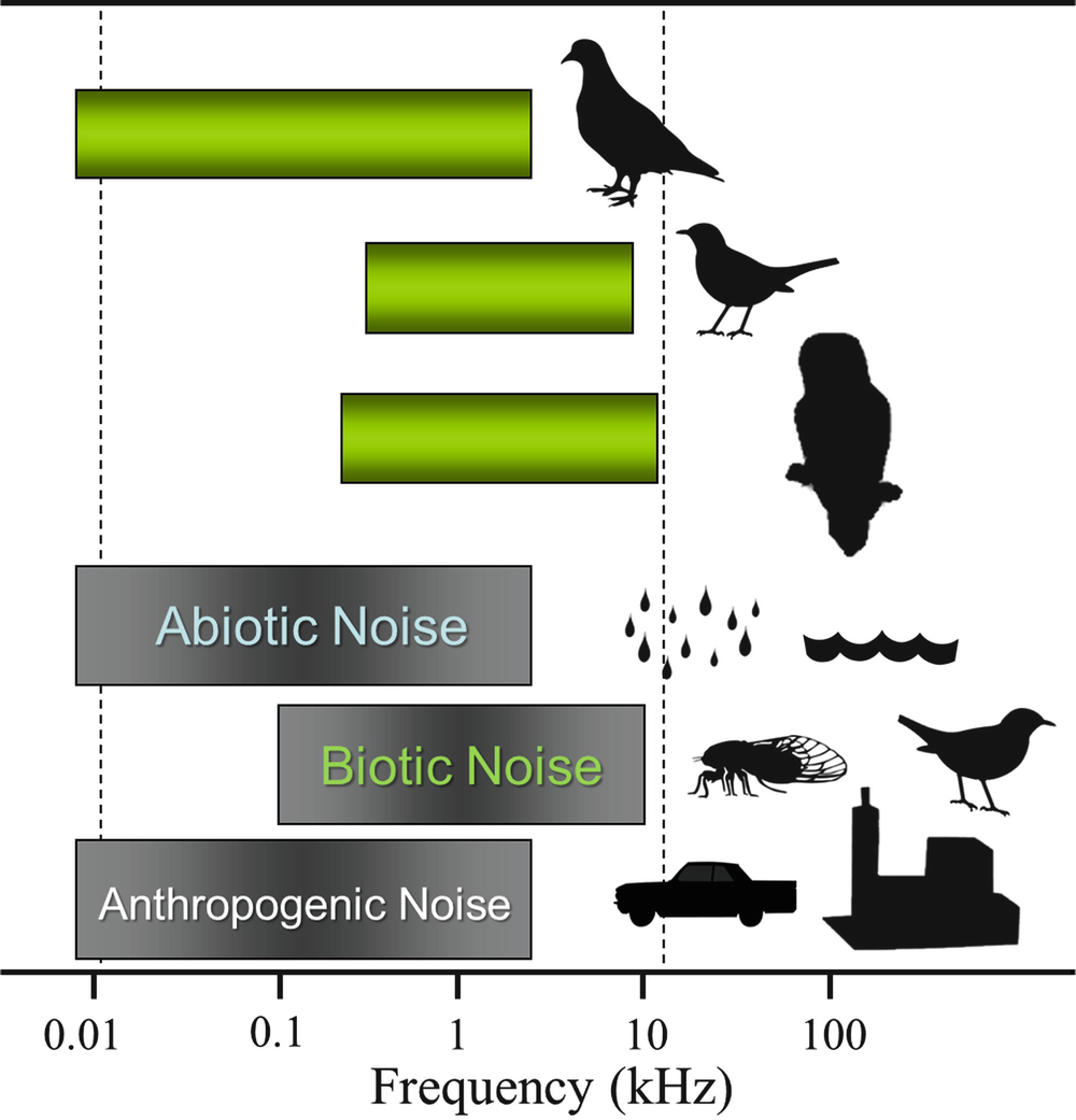 Impact of Man-Made Sound on Birds and Their Songs | SpringerLink