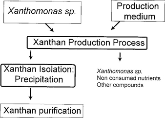 Production and Isolation of Xanthan Gum | SpringerLink