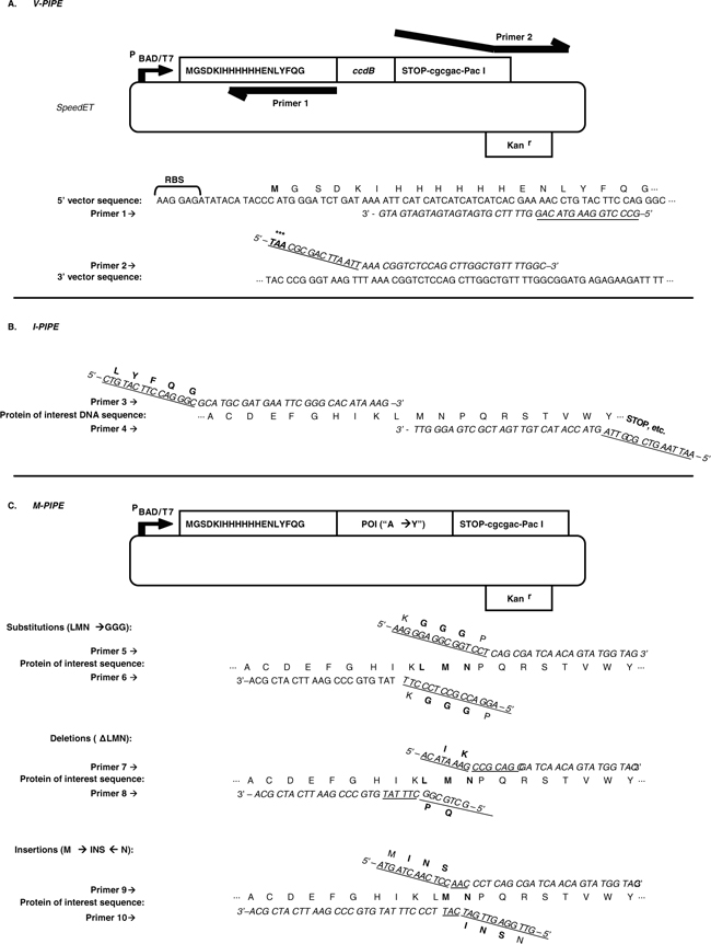 The Polymerase Incomplete Primer Extension (PIPE) Method Applied to ...