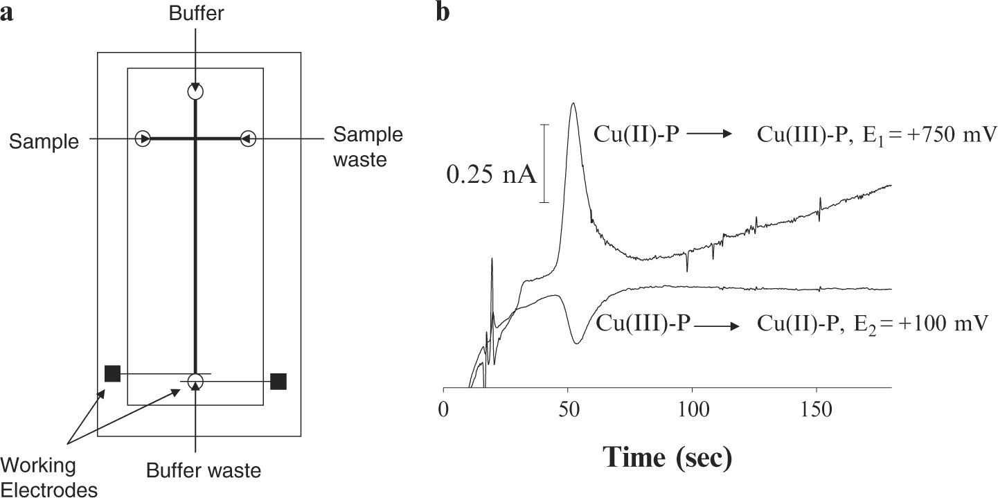 Microchip Capillary Electrophoresis | SpringerLink