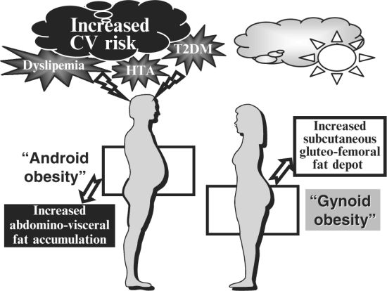 Overview of Adipose Tissue and Its Role in Obesity and Metabolic ...