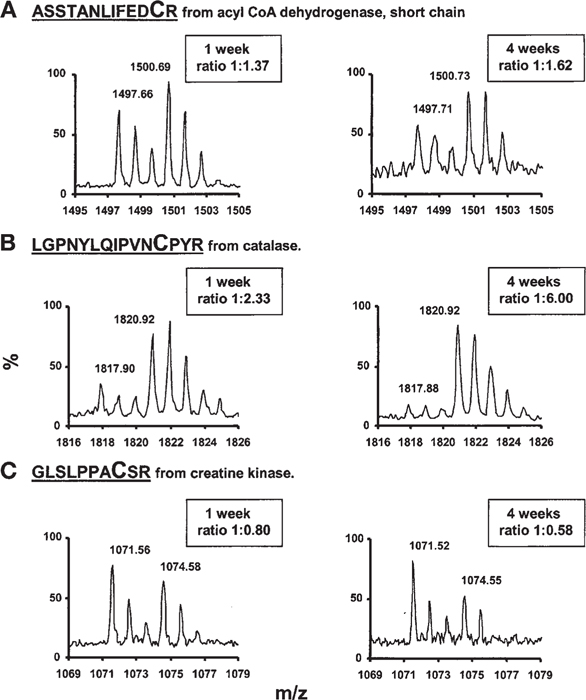 Acrylamide—A Cysteine Alkylating Reagent for Quantitative Proteomics ...