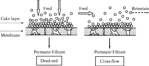 Membrane Technology: Past, Present and Future | SpringerLink