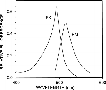 Fluorochromes: Properties and Characteristics | SpringerLink