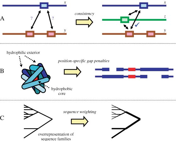 Protein Multiple Sequence Alignment | SpringerLink