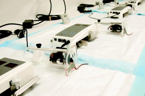 Hyperinsulinemic–Euglycemic Clamp to Assess Insulin Sensitivity In Vivo ...