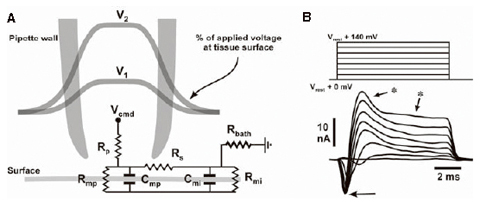 Loose-Patch-Clamp Method | SpringerLink