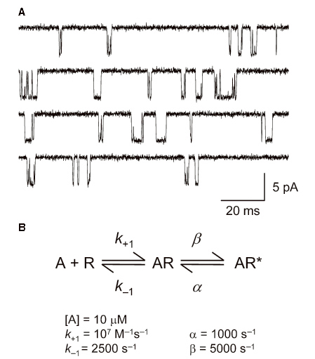 Single-Channel Recording | SpringerLink