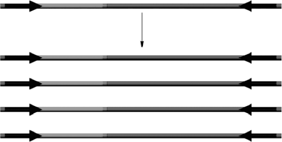 Molecular Inversion Probe Assay | SpringerLink