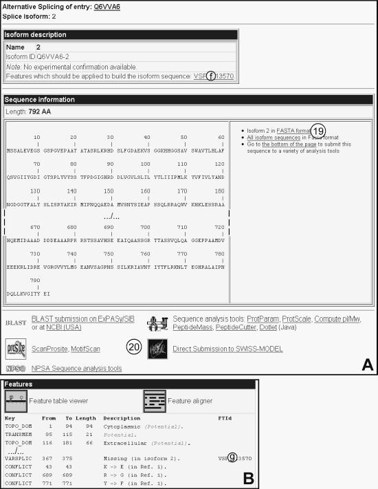 UniProtKB/Swiss-Prot | SpringerLink