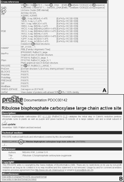 UniProtKB/Swiss-Prot | SpringerLink