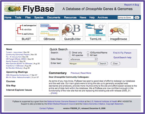 FlyBase | SpringerLink