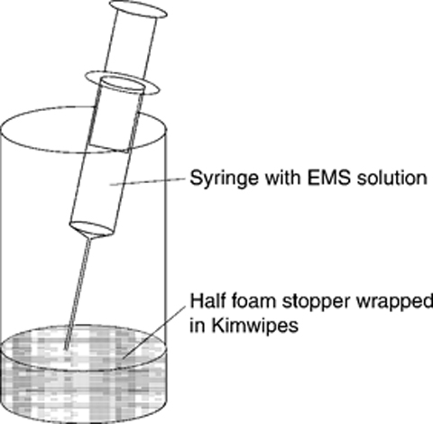 EMS Screens | SpringerLink