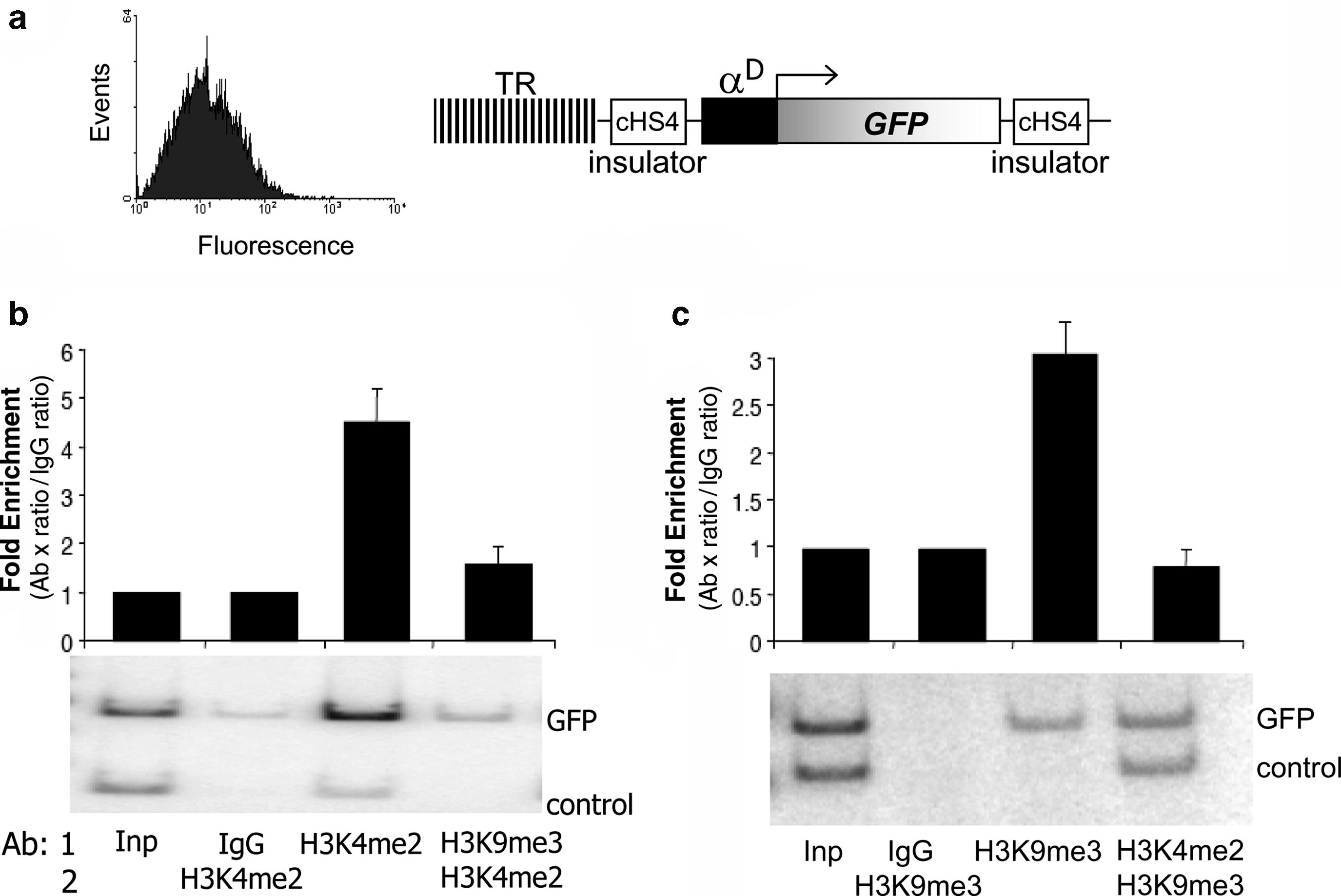 Sequential Chromatin Immunoprecipitation Protocol: ChIP-reChIP ...