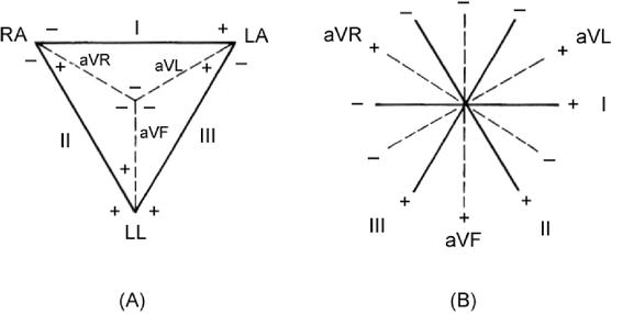 Basic ECG Theory, 12-Lead Recordings and Their Interpretation ...