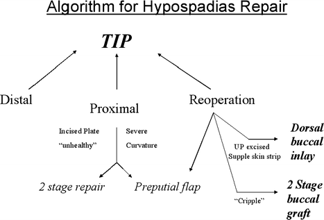 Hypospadias | SpringerLink