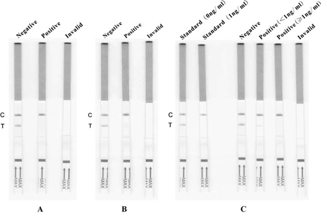 Immunochromatographic Lateral Flow Strip Tests | SpringerLink