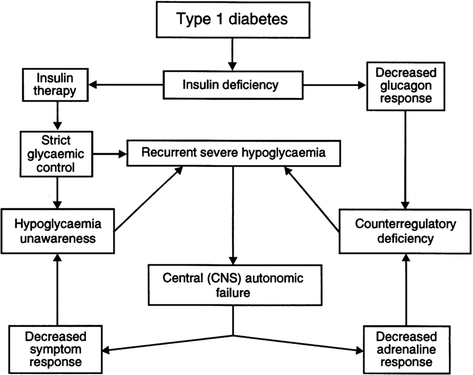Hypoglycemia | SpringerLink