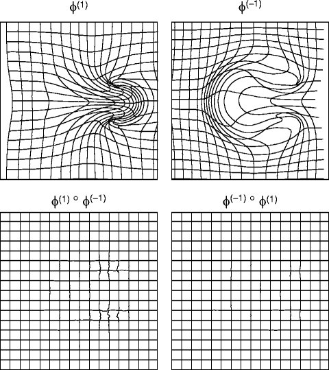 Preparing fMRI Data for Statistical Analysis | SpringerLink