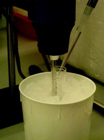 Collagen-Induced Arthritis in Mice | SpringerLink