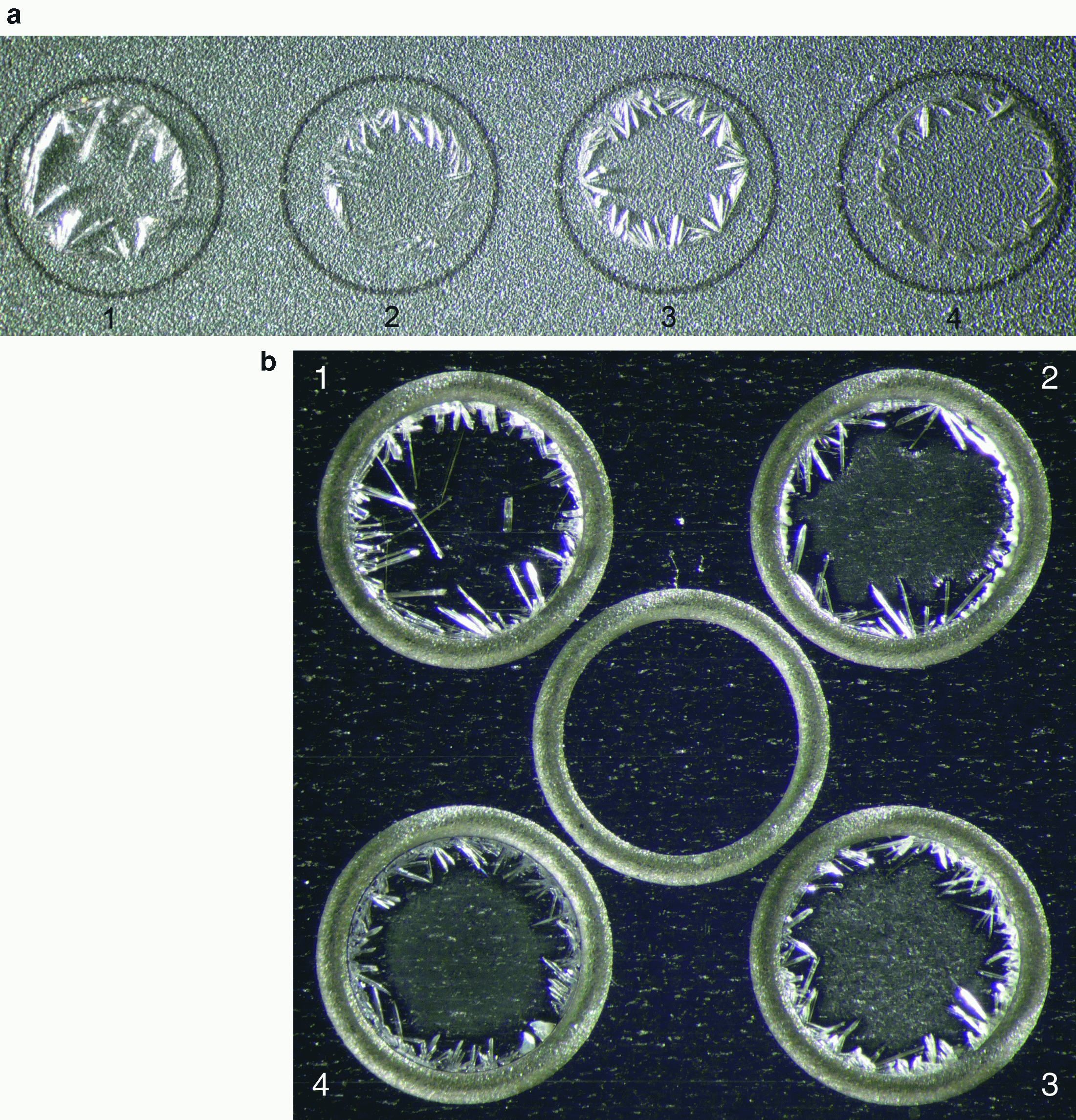 MALDI MS | SpringerLink