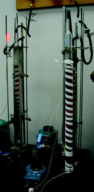 Basic Laboratory Culture Methods for Anaerobic Bacteria | SpringerLink