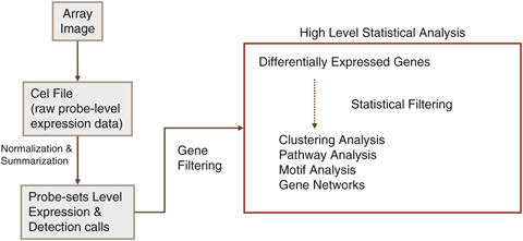 Bioinformatics Analysis of Microarray Data | SpringerLink