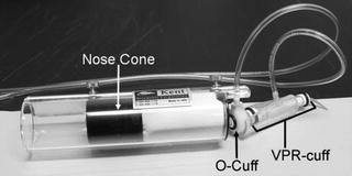 Non-invasive Blood Pressure Measurement in Mice | SpringerLink