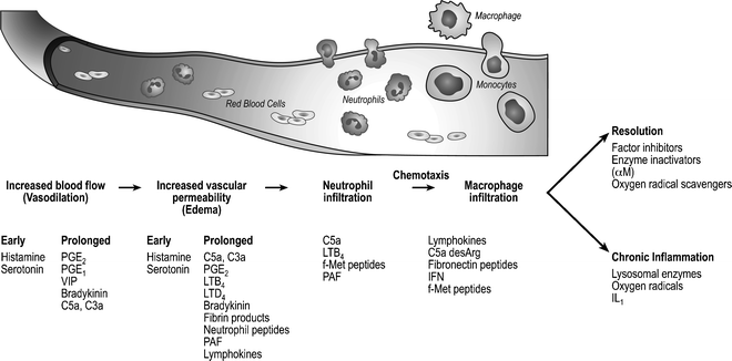 Markers of Inflammation | SpringerLink