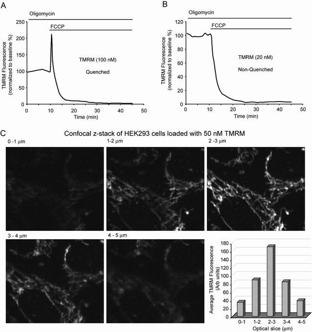 Quantitative Analysis of Membrane Potentials | SpringerLink