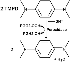 Using N,N,N’,N’-tetramethyl- p- phenylenediamine (TMPD) to Assay ...