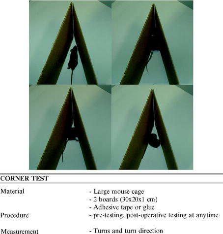 Behavioral Testing in Mouse Models of Stroke | SpringerLink