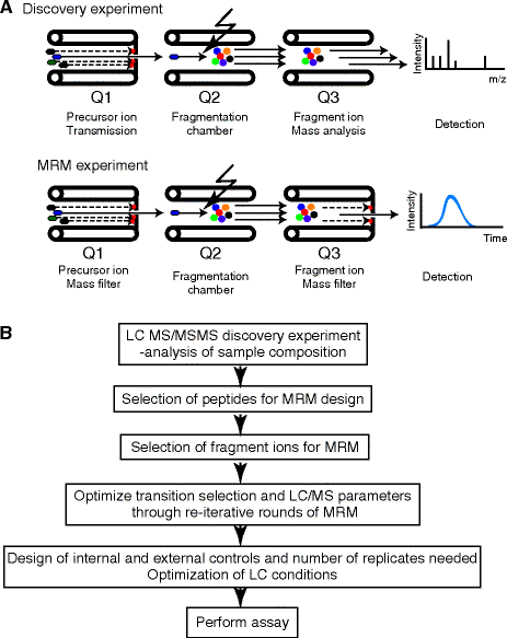 Basic Design of MRM Assays for Peptide Quantification | SpringerLink