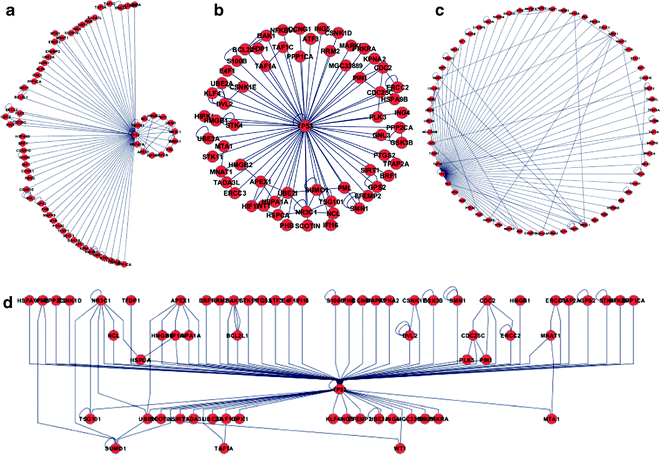 Cytoscape: Software for Visualization and Analysis of Biological ...