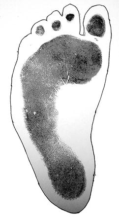 Bare Footprint Identification | SpringerLink