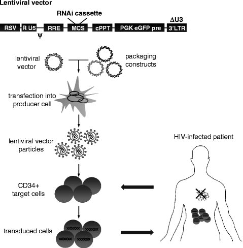 RNAi-Inducing Lentiviral Vectors for Anti-HIV-1 Gene Therapy | SpringerLink