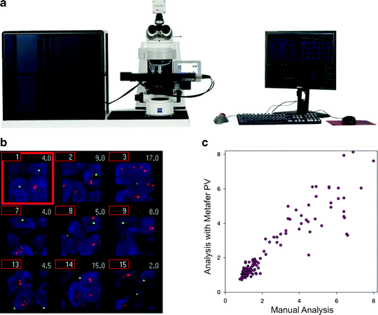 Automated Analysis of FISH-Stained HER2/neu Samples with Metafer ...